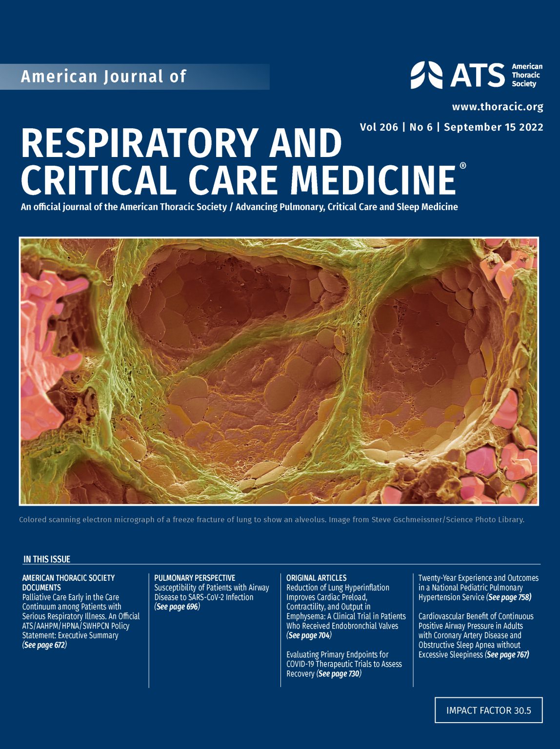 ajrccm.2022.206.issue-6.cover | 岡山大学病院 血液・腫瘍・呼吸器・アレルギー内科